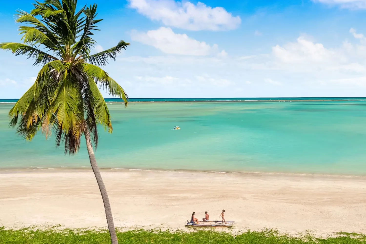 Passeios em Maragogi: Guia Completo - Pacote Barato